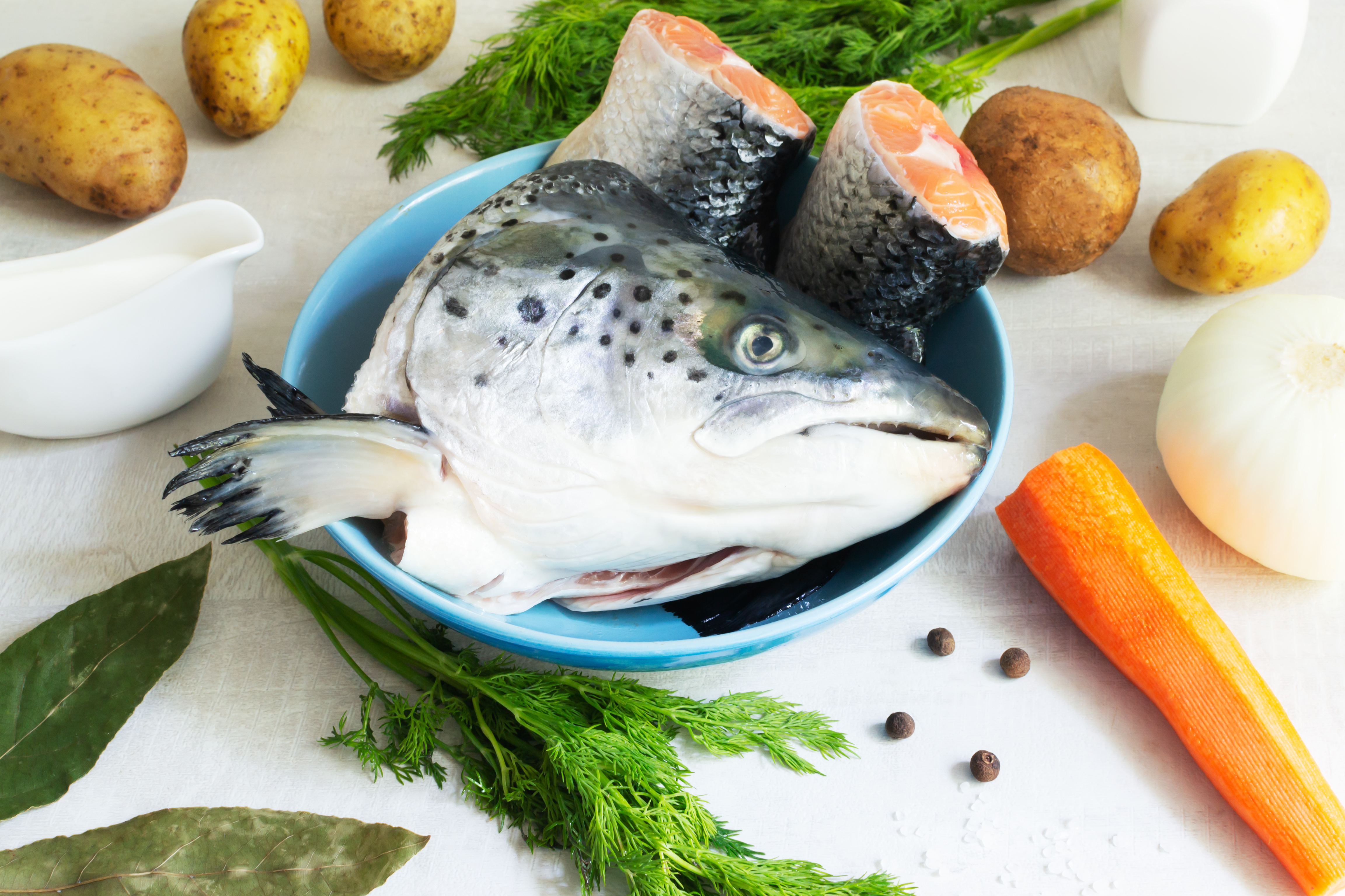 What Is Fresh Meat in Pet Food? - Summit10